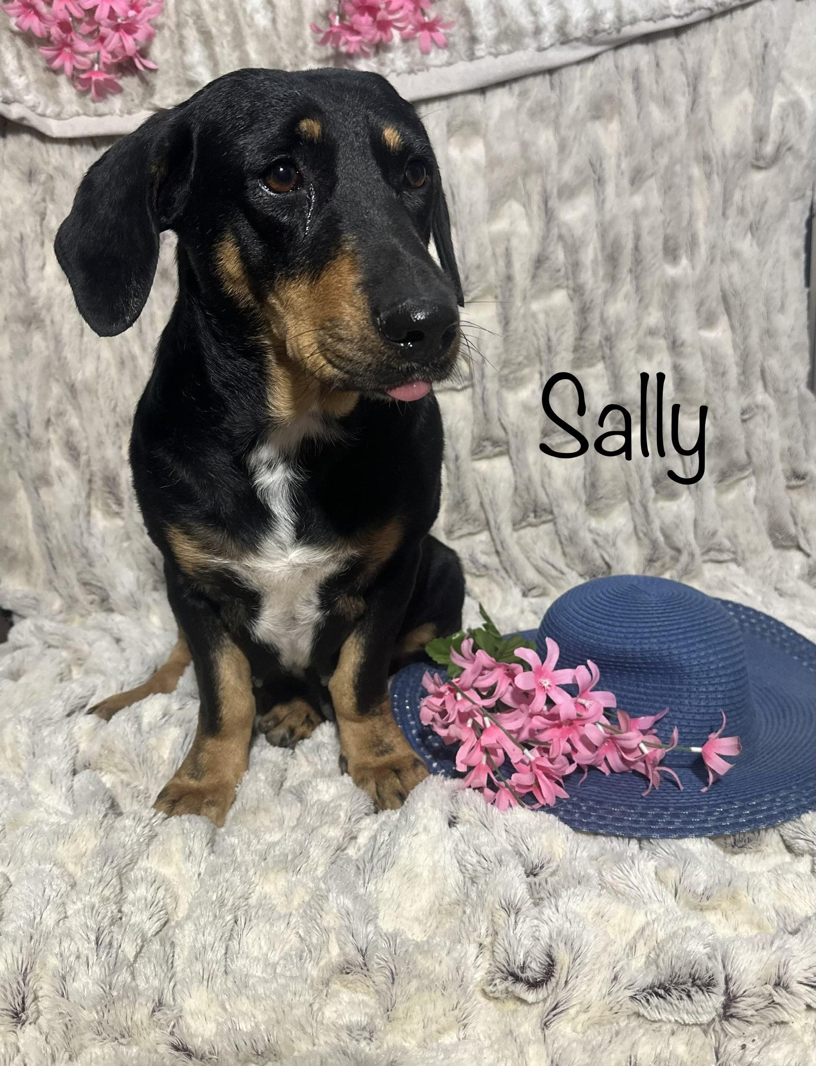Sally – Riley Rescue